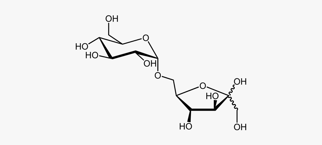 The secret of isomaltulose